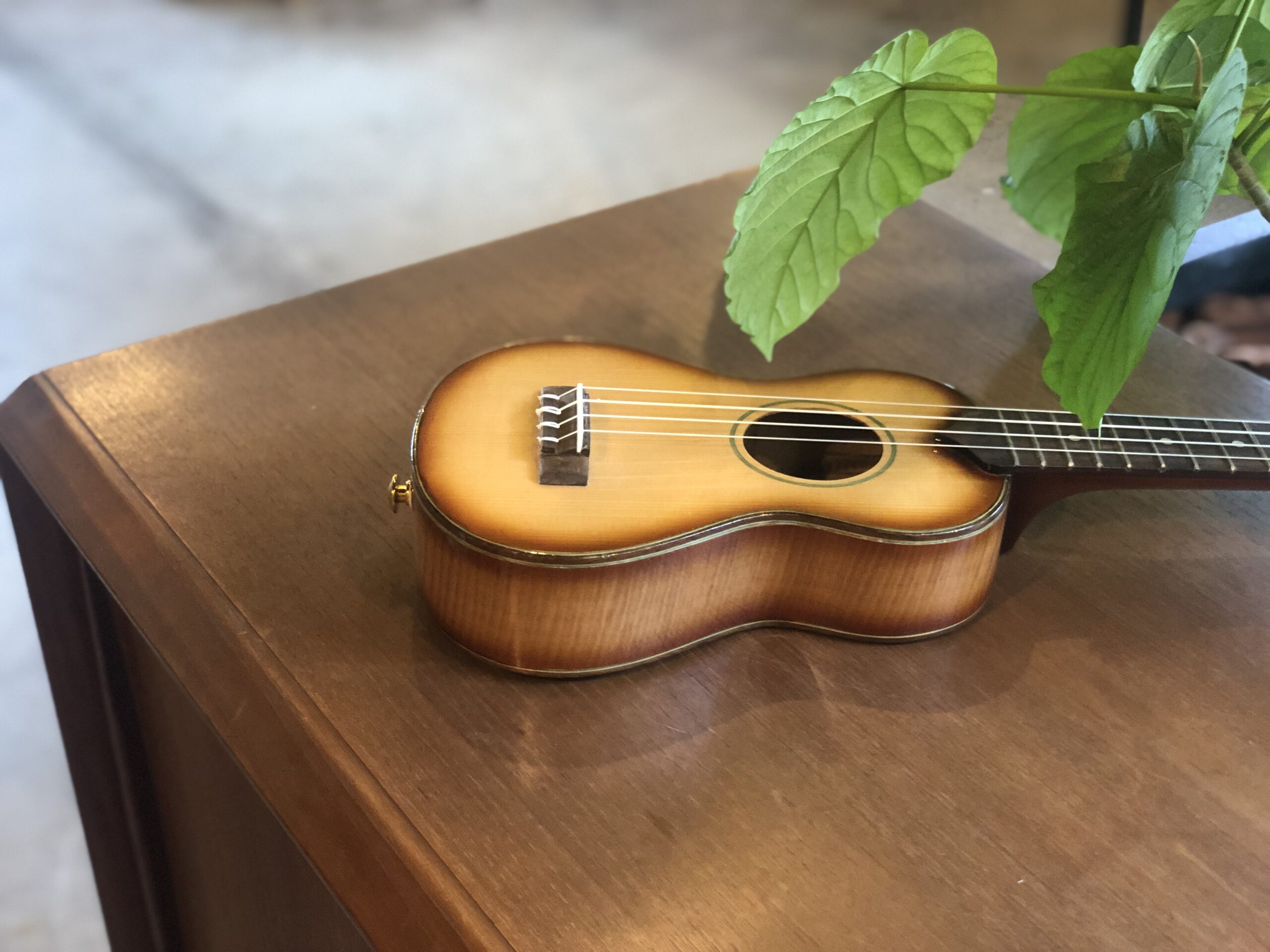 ukulele workshop