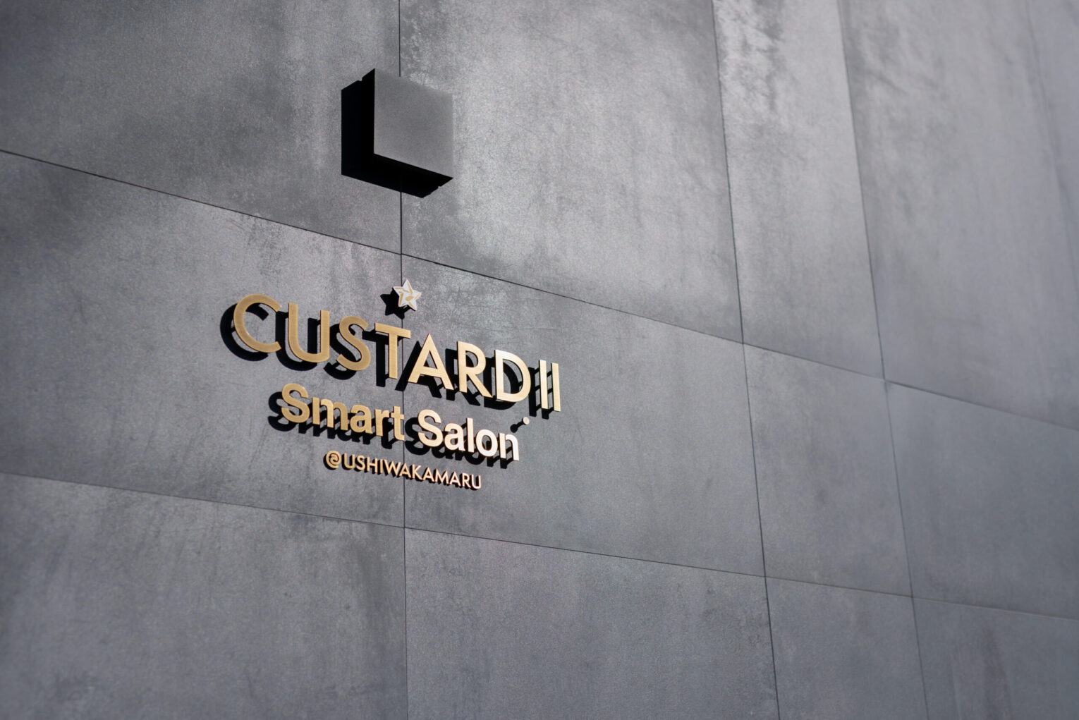 CUSTARD II Smart Salon